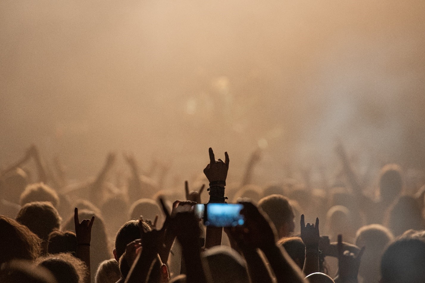 The Rock and Roll Revolution: How Fans Helped Shape the Genre's ...